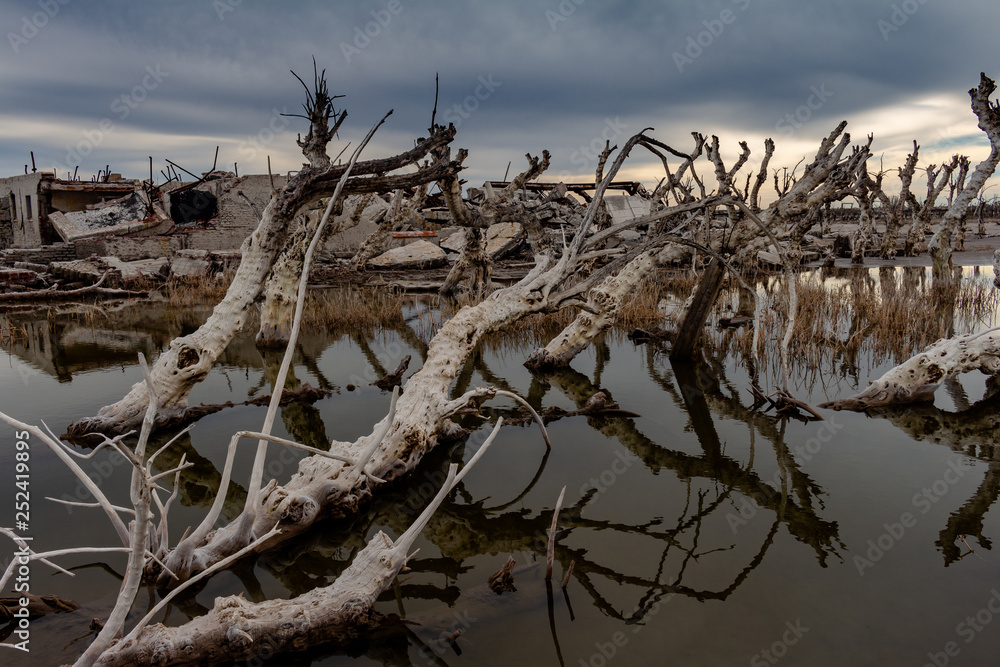 Desolate Urban Landscape
