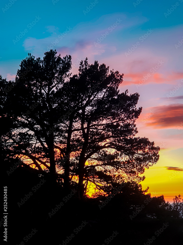 paleta de colores naturales Stock Photo | Adobe Stock