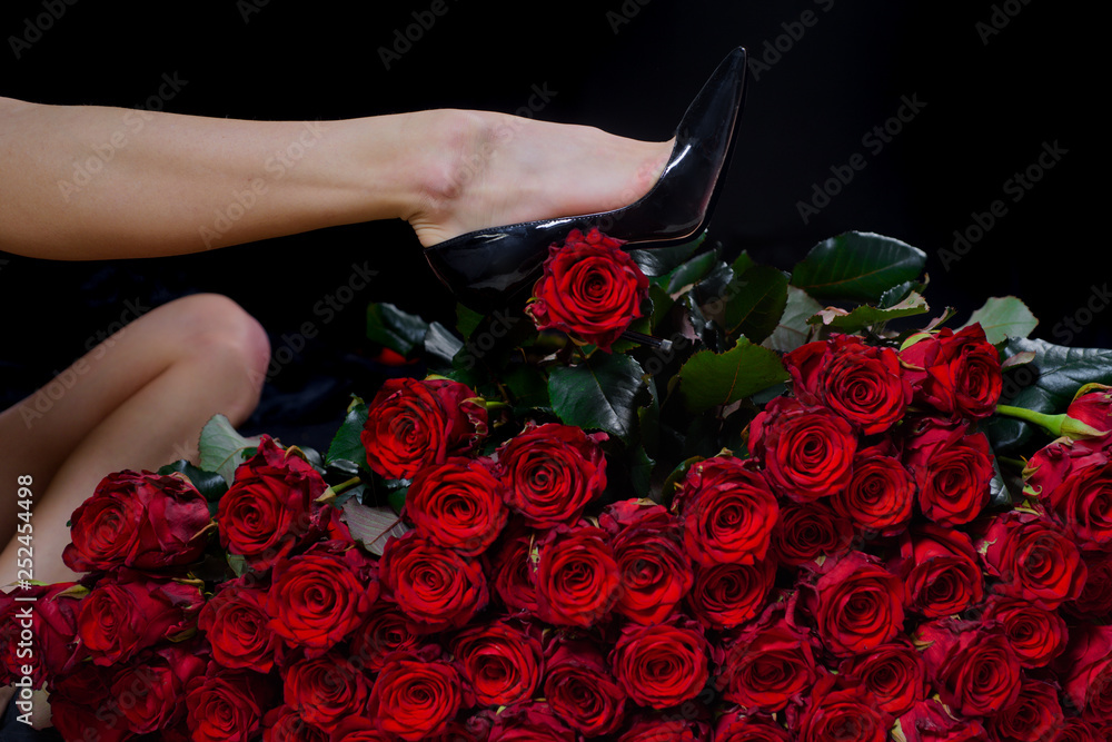 Girl legs on flowers. Woman and red roses. Red flowers for woman in ...