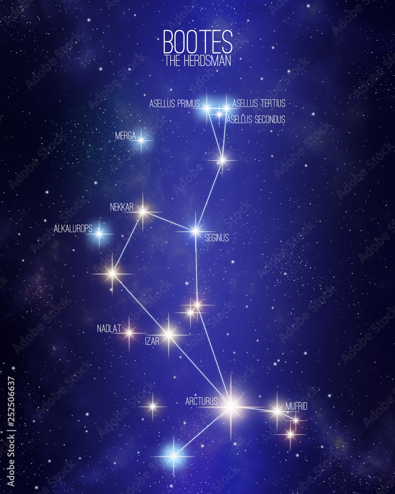Boötes the herdsman constellation on a starry space background with the ...