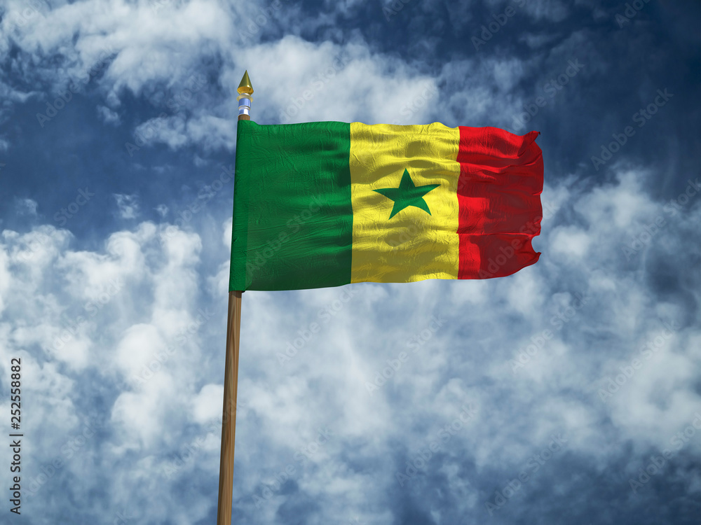 Senegal flag Silk waving flag of Senegal made transparent fabric with wooden flagpole gold spear ...