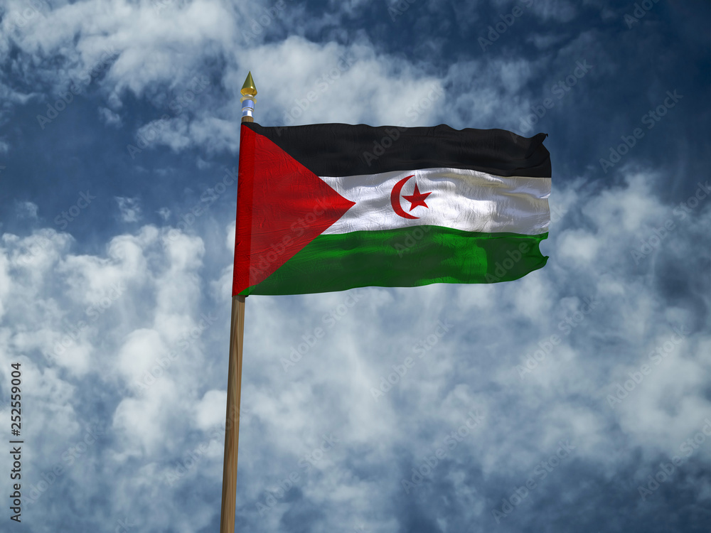 Western Sahara flag Silk waving flag of Western Sahara made transparent ...