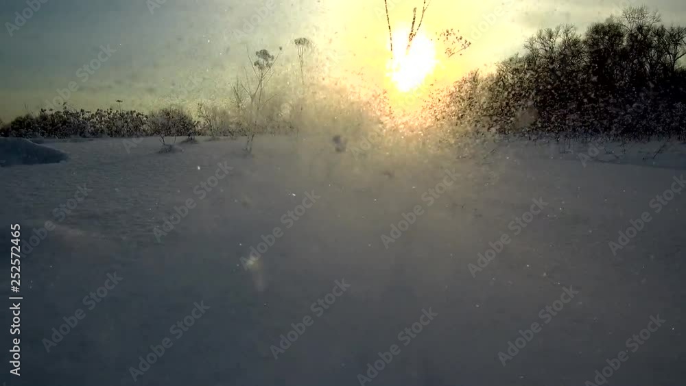 Snowflakes sparkle in the rays of the sun. Snow rises up and scatters ...