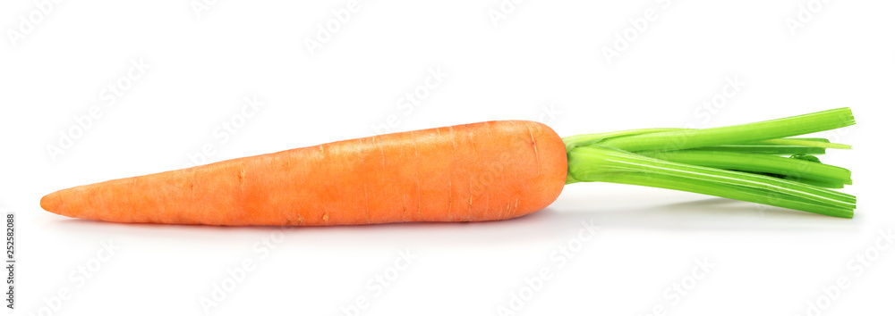 single fresh carrot isolated on white background Stock Photo | Adobe Stock