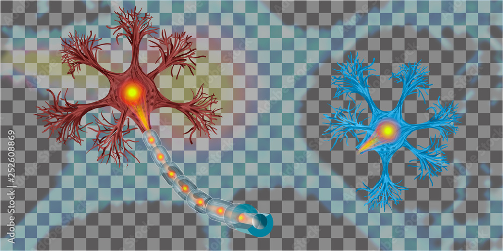 3d human neuron isolated on transparent background. Realistic vector ...