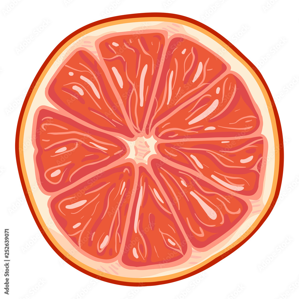 Cartoon Grapefruit