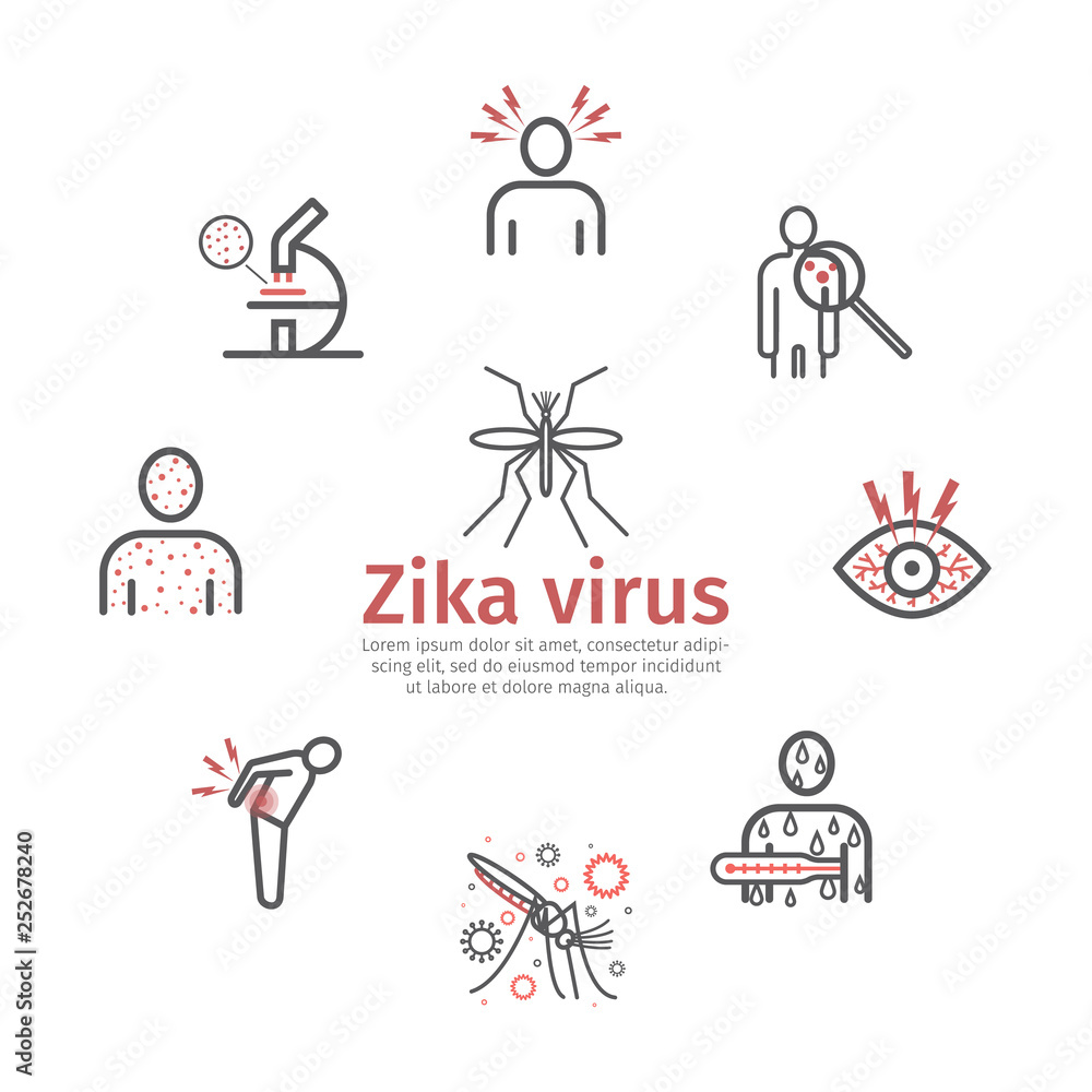 Zika Virus line icon Infographics. Symptoms, Vector signs for web ...
