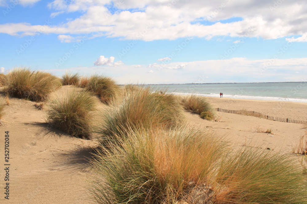 Natural and wild beach with a beautiful and vast area of dunes ...