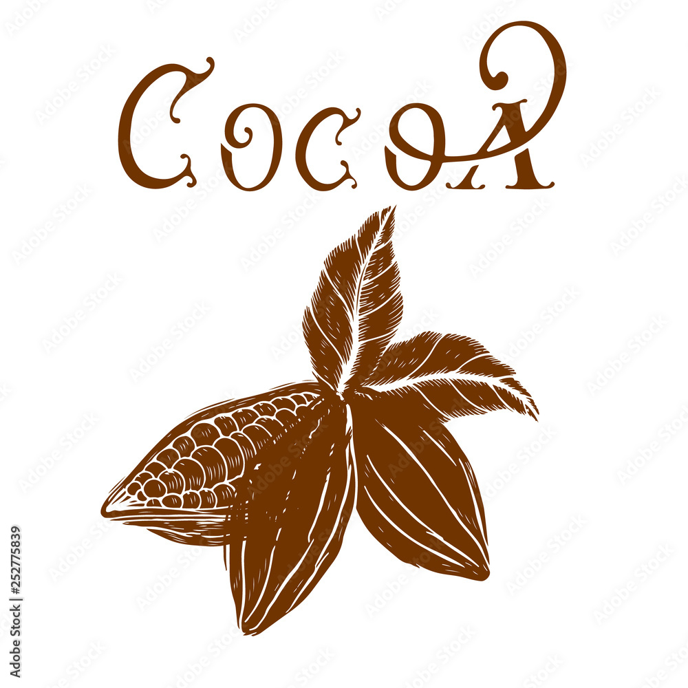 logo cocoa Stock Vector | Adobe Stock
