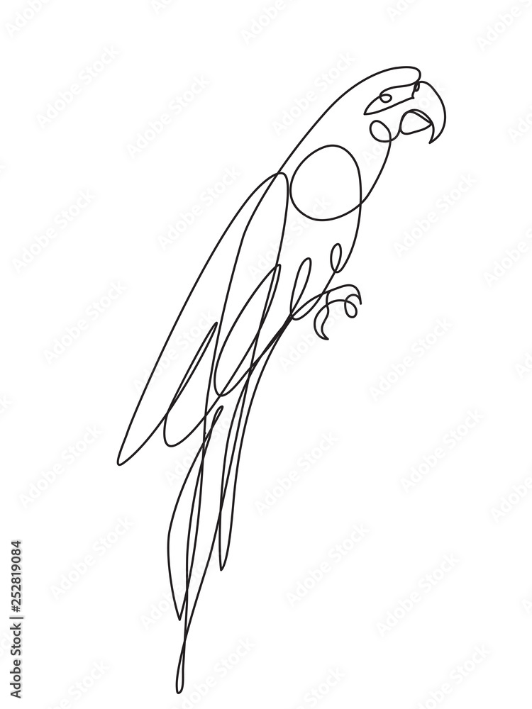 Parrot bird one line drawing Stock Illustration | Adobe Stock