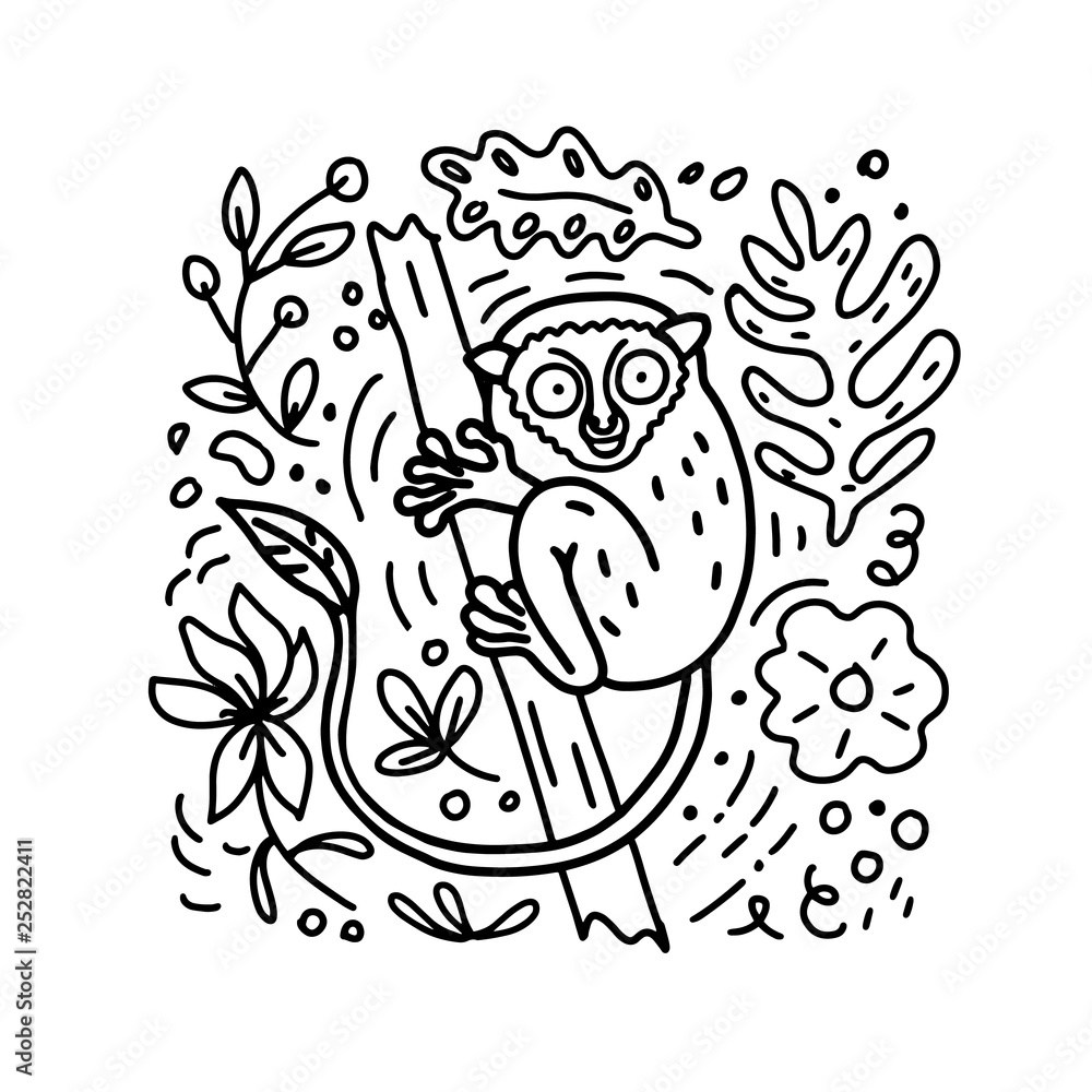 Philippine Tarsier Drawing