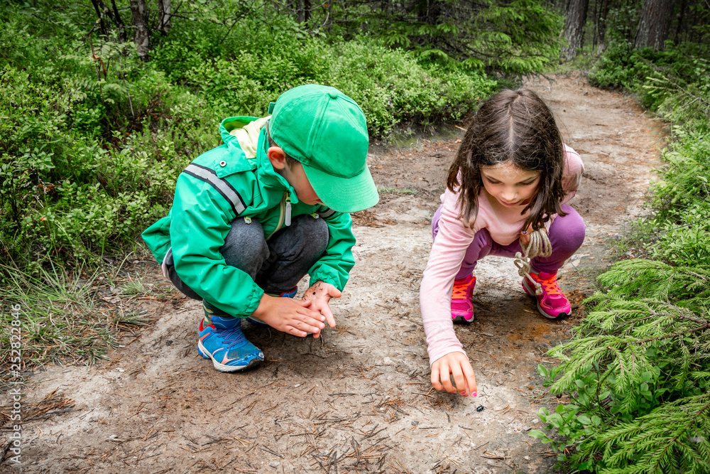 Little children boy and girl sitting on forest ground exploring and ...