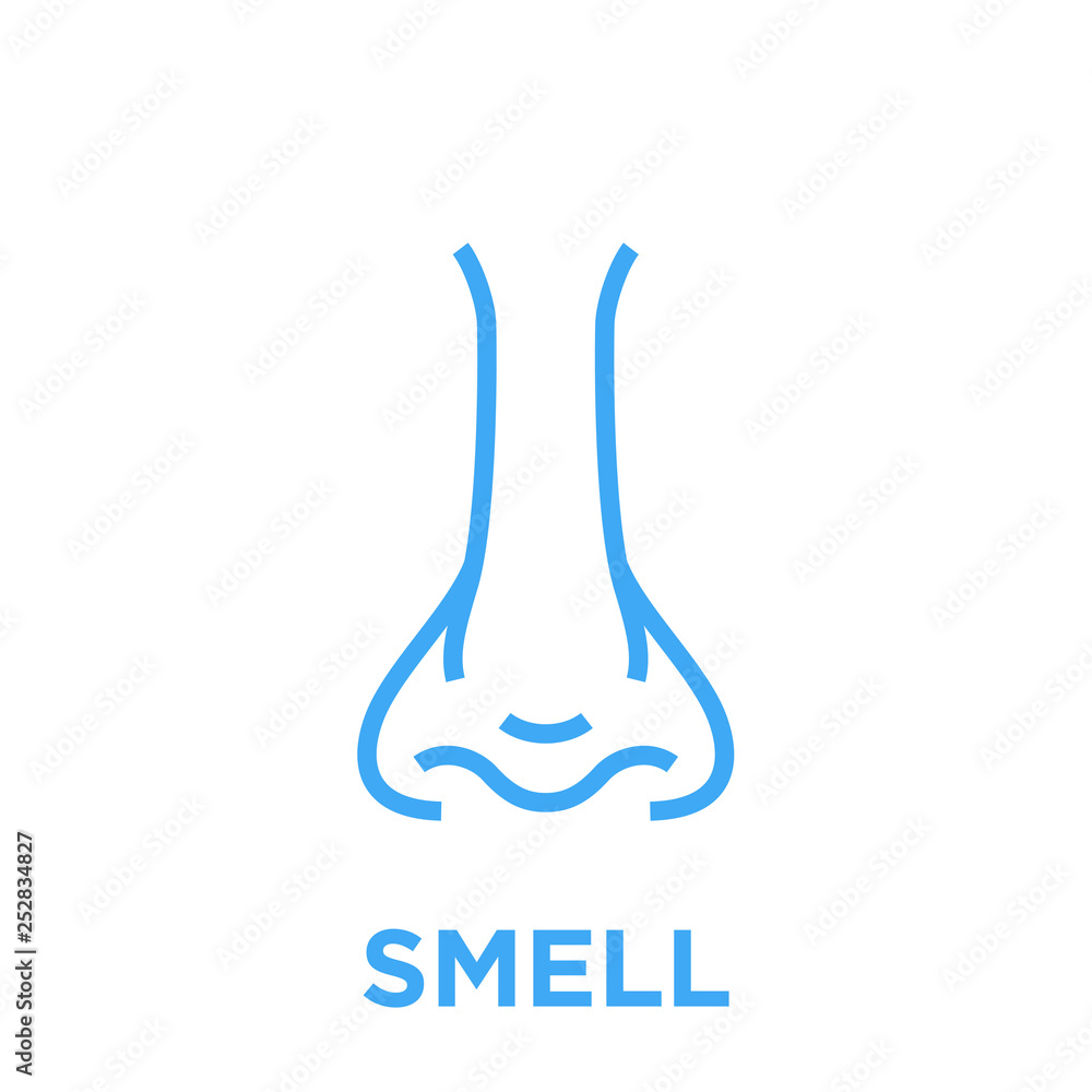 Female Nose Vector