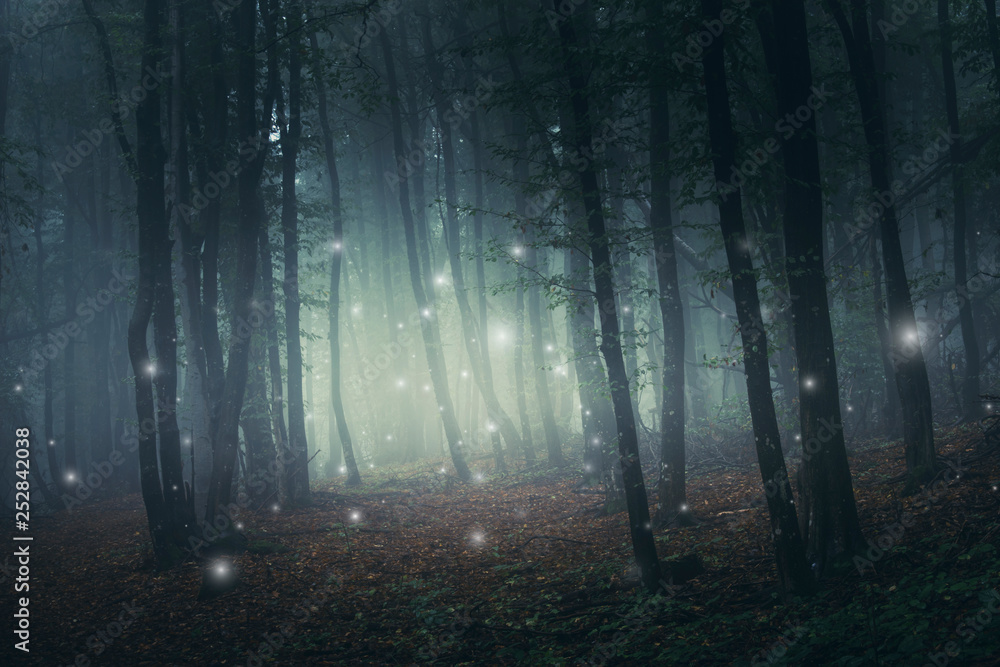 fantasy forest scene with magical sparkles on mysterious path Stock ...