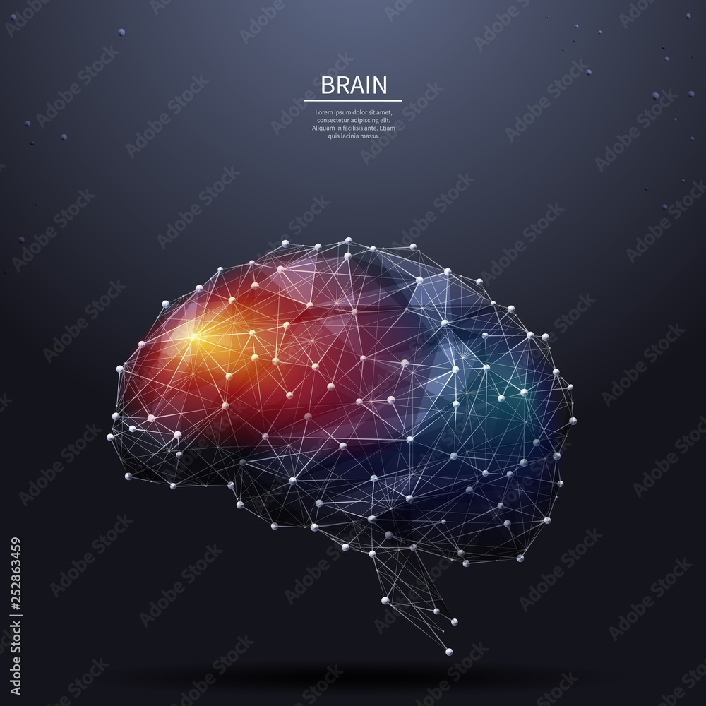 brain low poly color Stock Vector | Adobe Stock