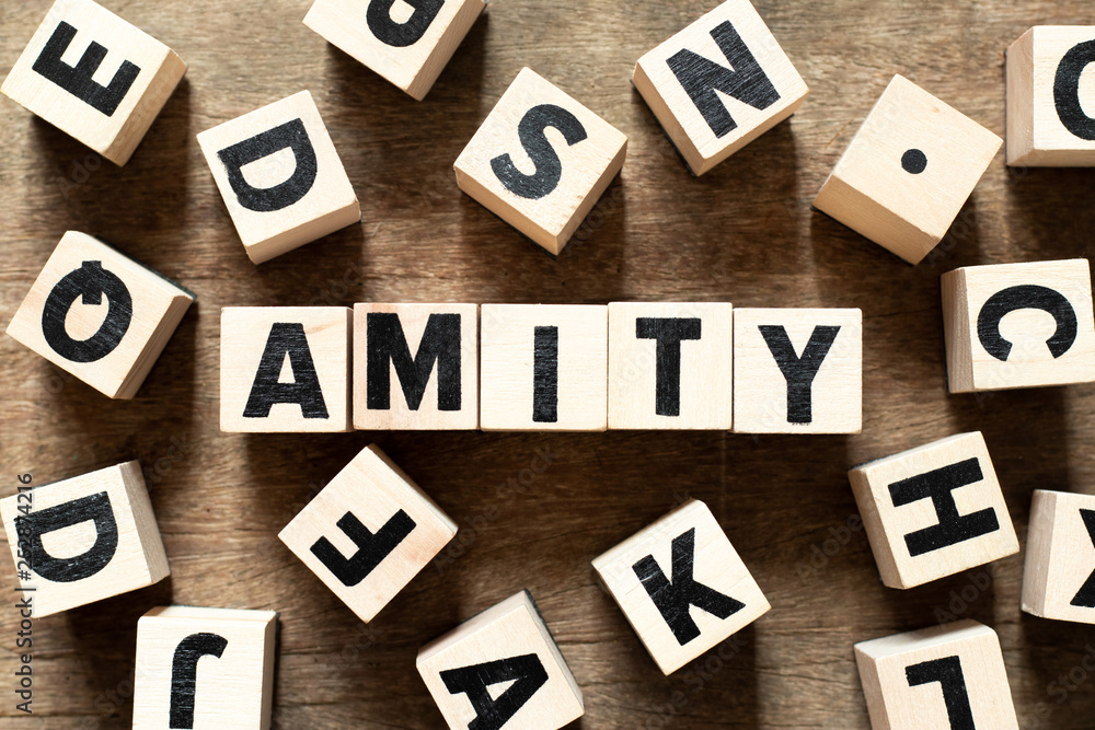 Wood letter block in word amity on wood background with another ...