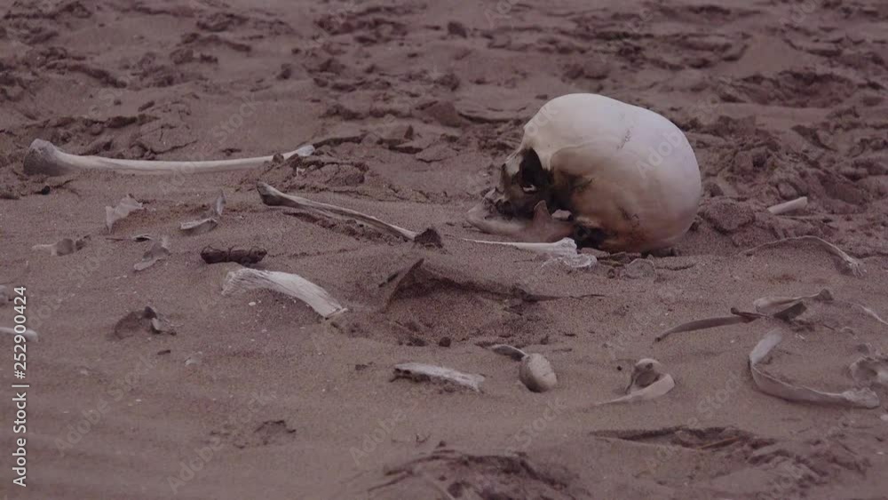 Human skeleton skeletal remains lie in the sand along a remote part of ...