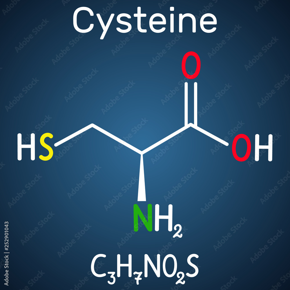 Cysteine (L-cysteine, Cys, C) proteinogenic amino acid molecule ...