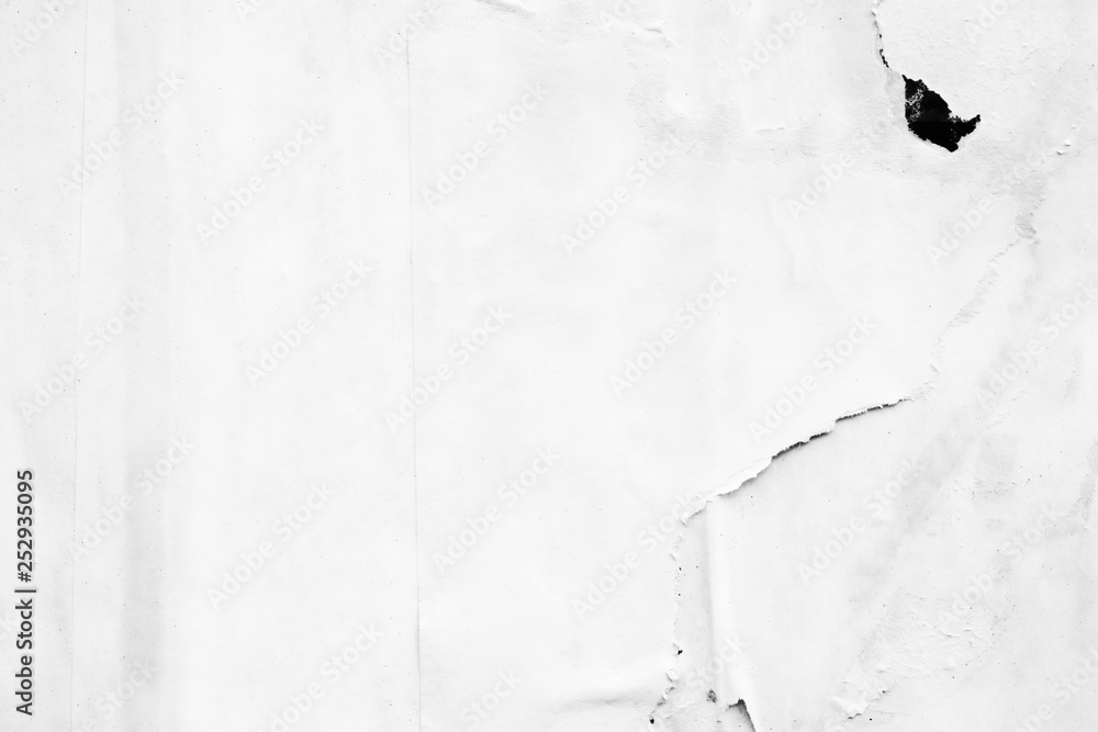 Ripped White Paper Texture