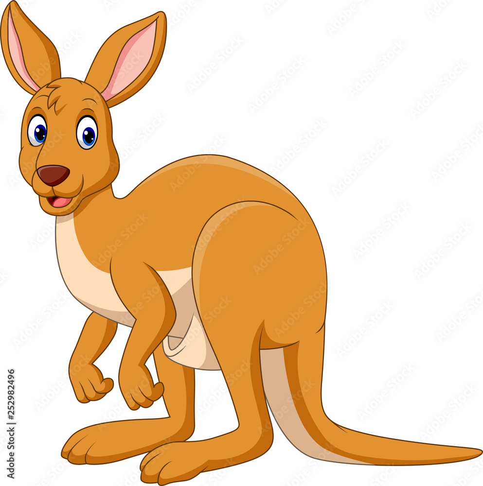 Cartoon funny Kangaroo isolated on white background Stock Vector ...