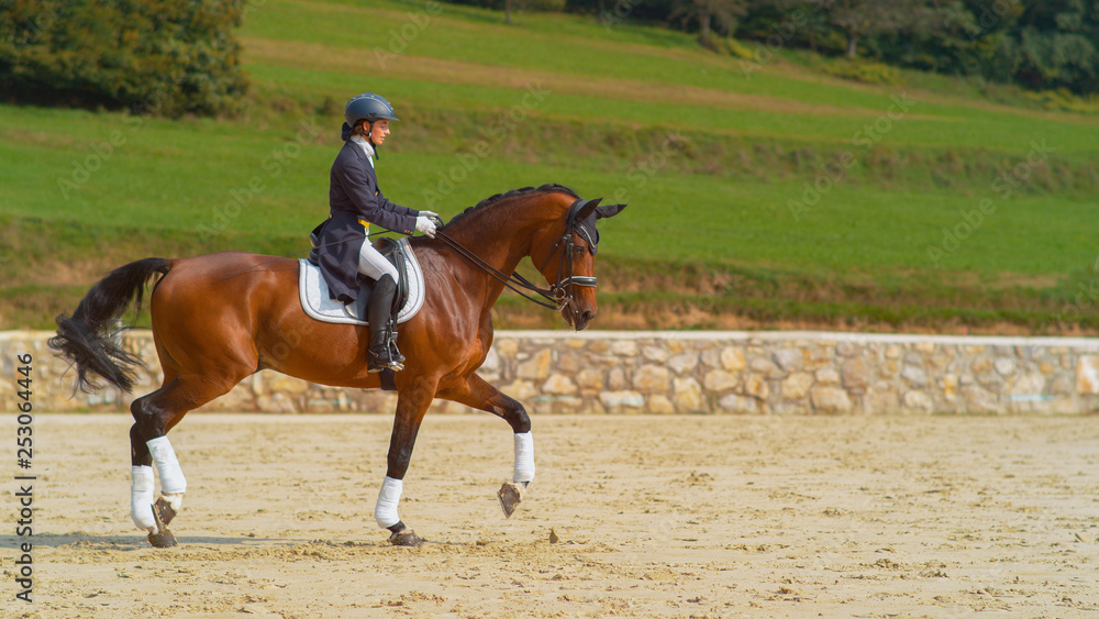 English rider on horseback riding trot around the sandy arena in the ...