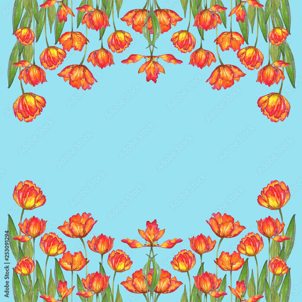 Tulip Border Design Frame Watercolor Illustration Background Template ...
