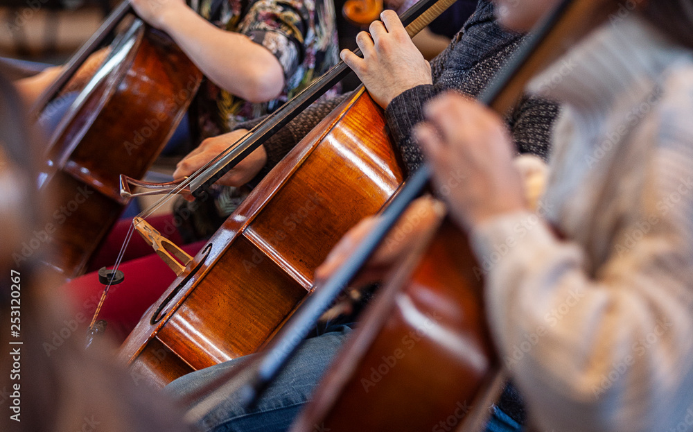 Orchestra Cello Players Stock-Foto | Adobe Stock