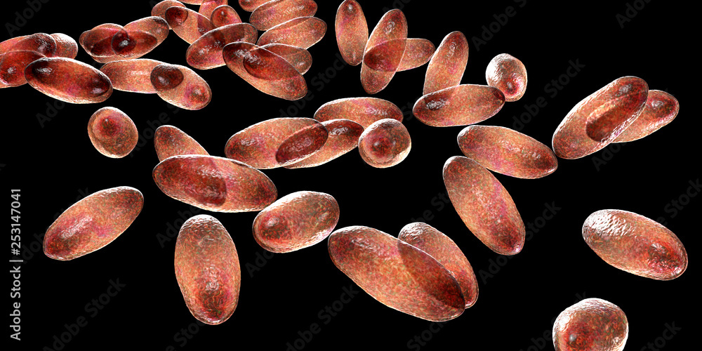 Plague bacteria Yersinia pestis, 3D illustration. Gram-negative ...