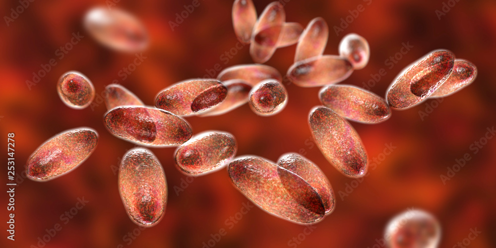 Plague bacteria Yersinia pestis, 3D illustration. Gram-negative ...