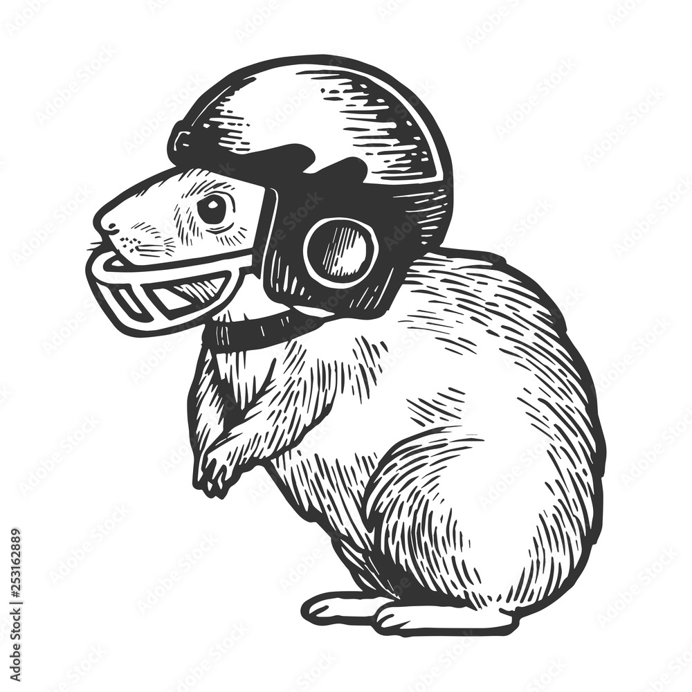 Hamster in football helmet sketch engraving vector illustration ...