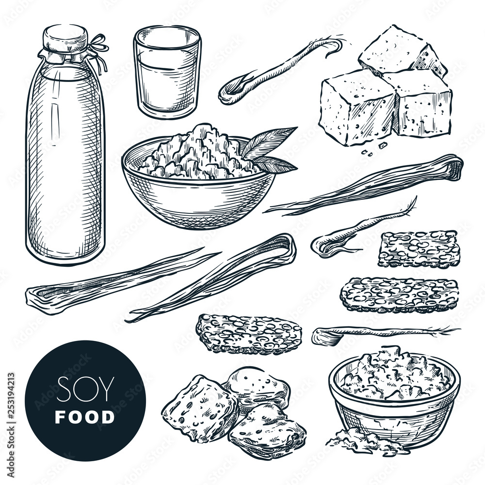 Soy food vegetarian products sketch vector illustration. Soy milk, tofu ...