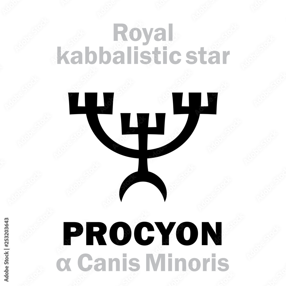 Vetor de Astrology Alphabet: PROCYON (α Canis Minoris / Antecanis ...