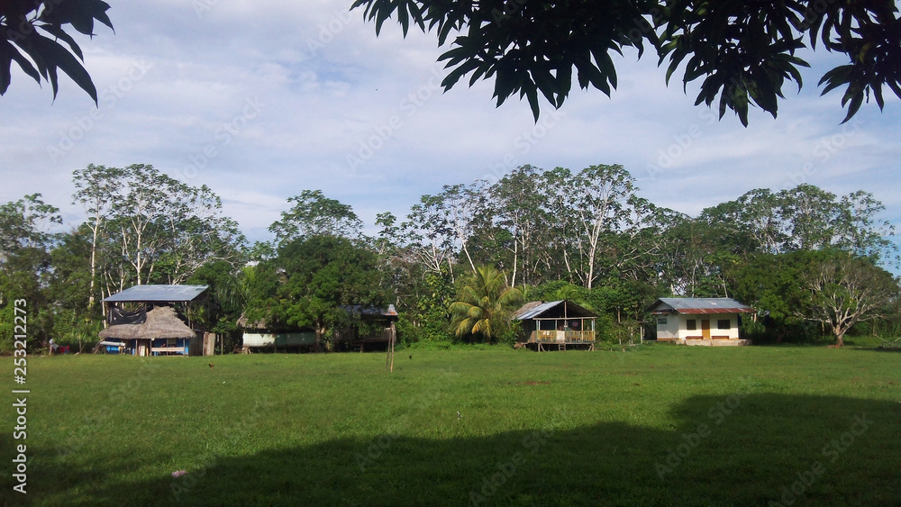 Casas tradicionales de una comunidad en la amazonía peruana Stock Photo ...