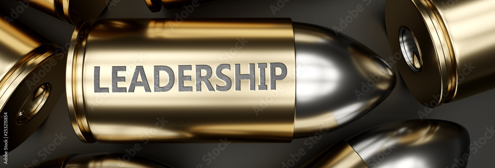 Business leadership, importance and significance of a company ...