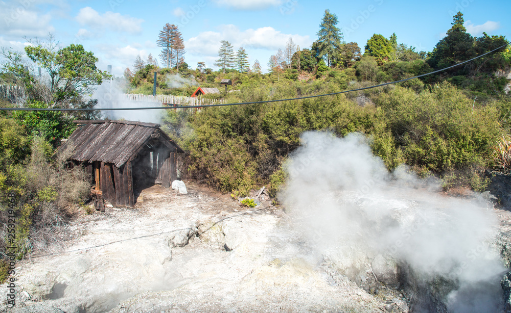 The geothermal activity underneath the ground in Whakarewarewa the ...
