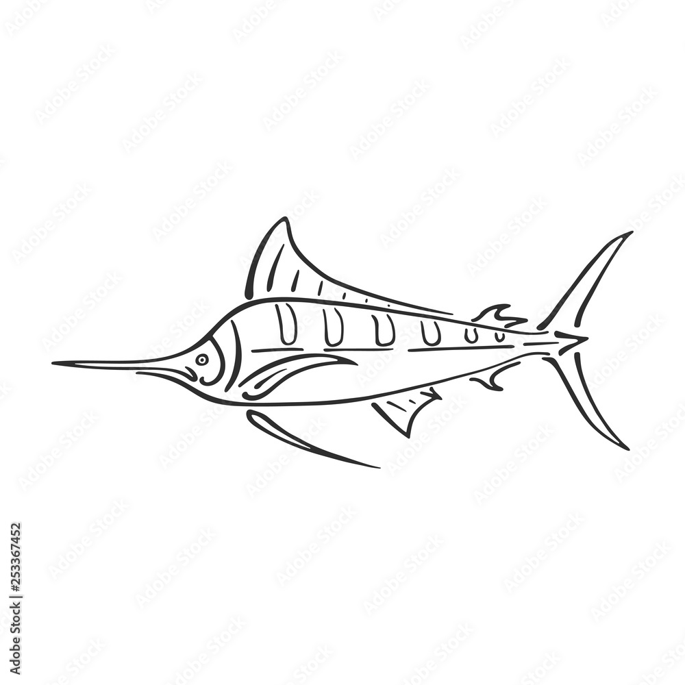 Sailfish Sketch