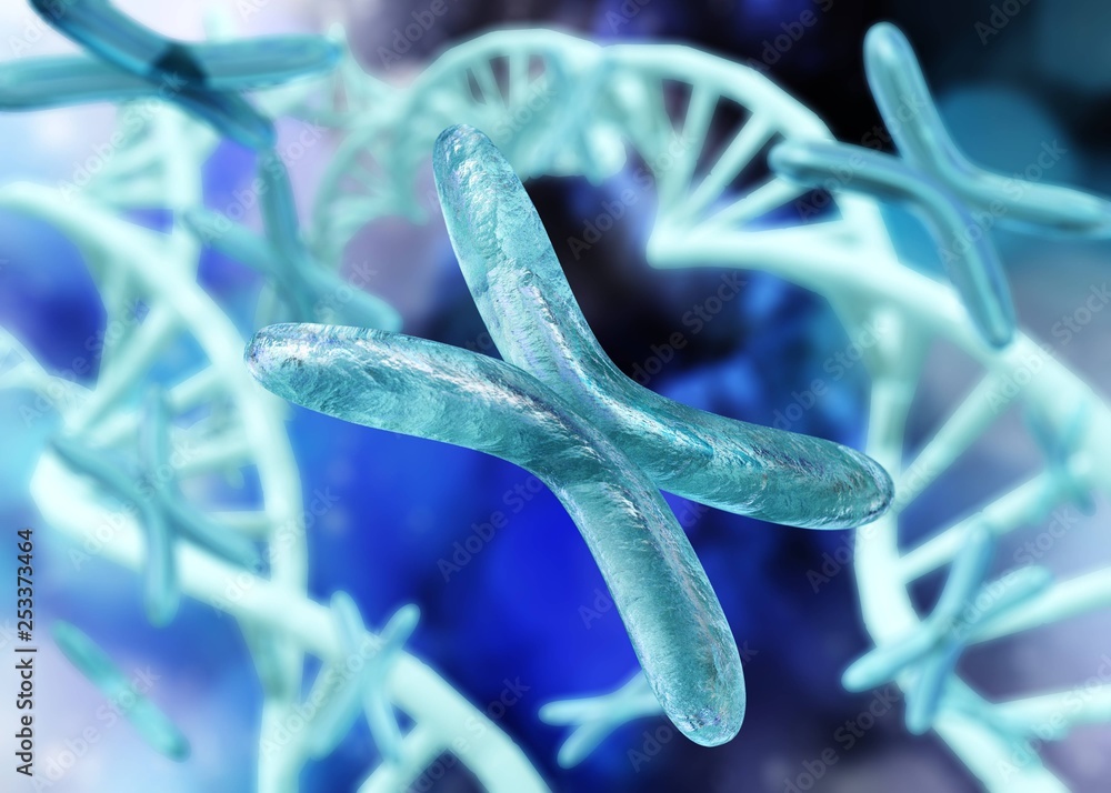 X chromosome, DNA, RNA, 3D rendering Stock Illustration | Adobe Stock