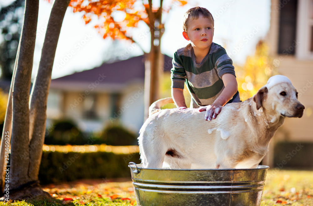 Young boy washing his dog inside a tub in the backyard. Stock Photo ...