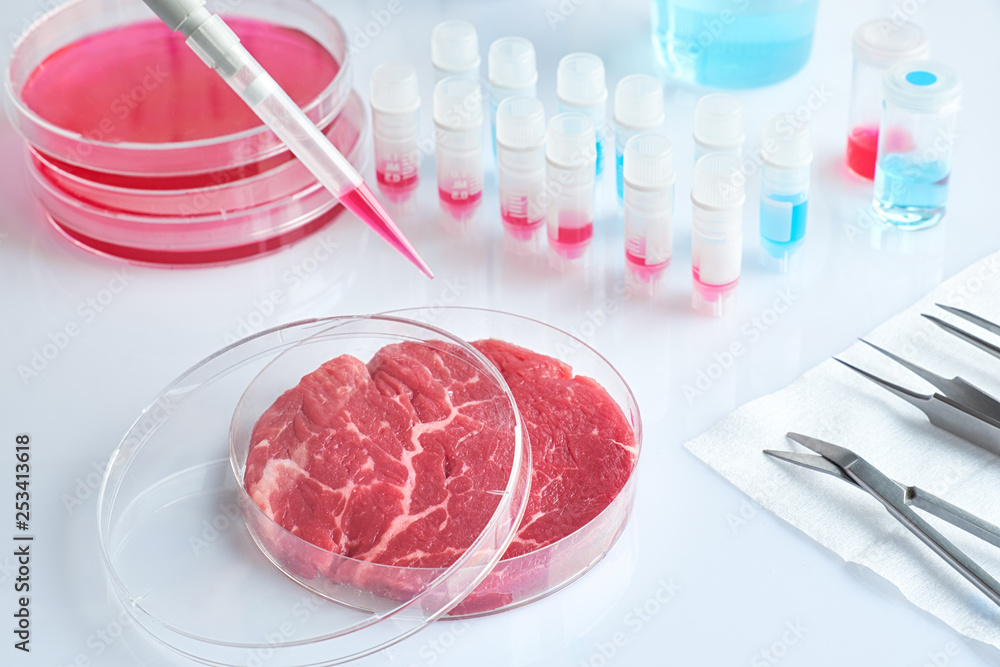 Meat sample in open disposable plastic cell culture dish in modern ...