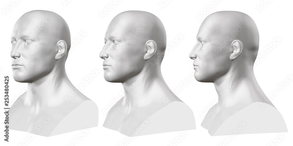 Vector set of isolated male busts of mannequins on white background. 3D ...