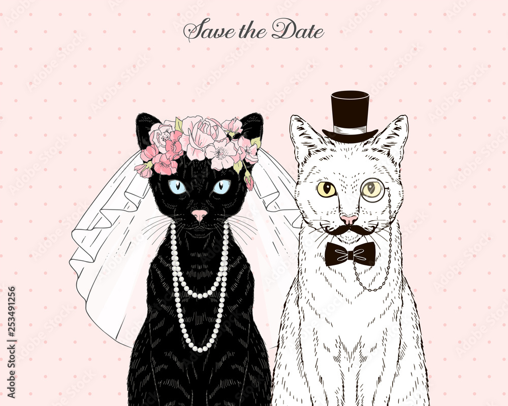 Cat Black And White Wedding