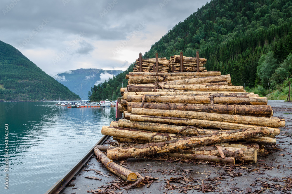 Pile of felled logs at the pier Stock Photo | Adobe Stock
