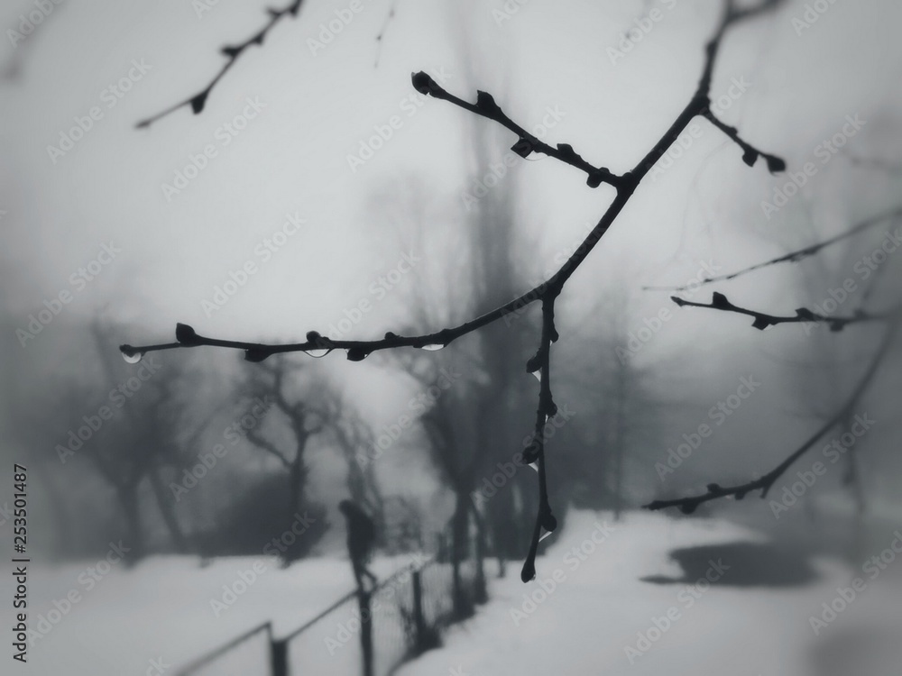 gray day Stock Photo | Adobe Stock