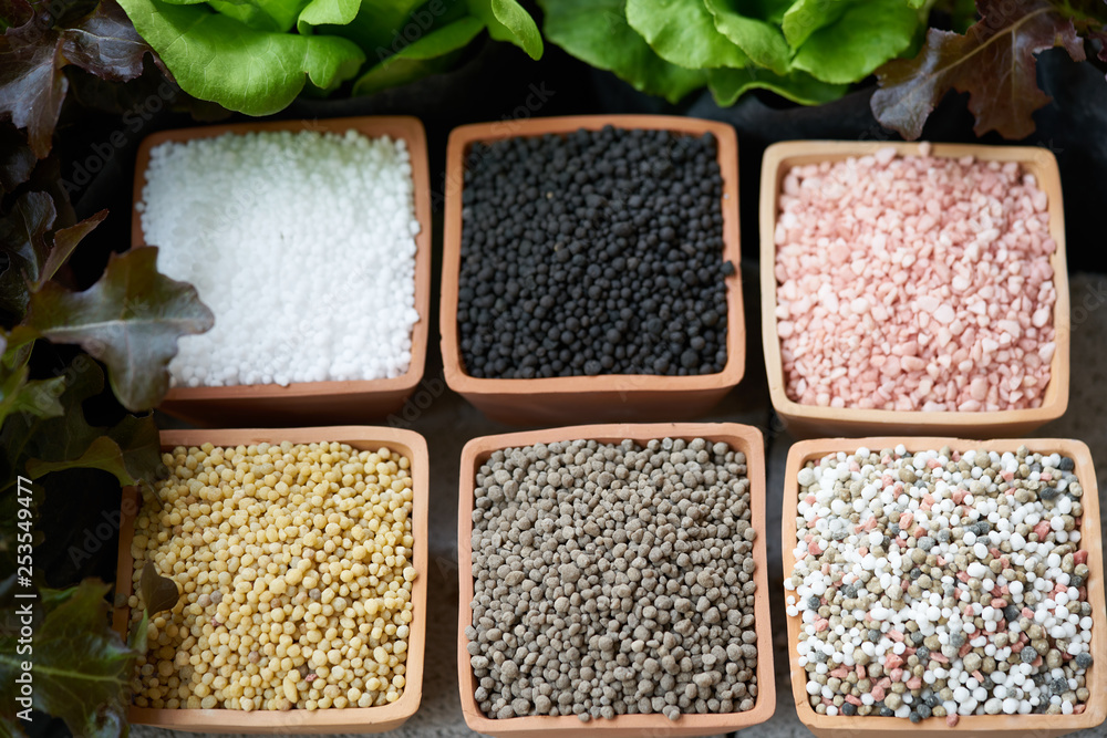 Six types of chemical fertilizers in clay pots and salad leaves Stock ...