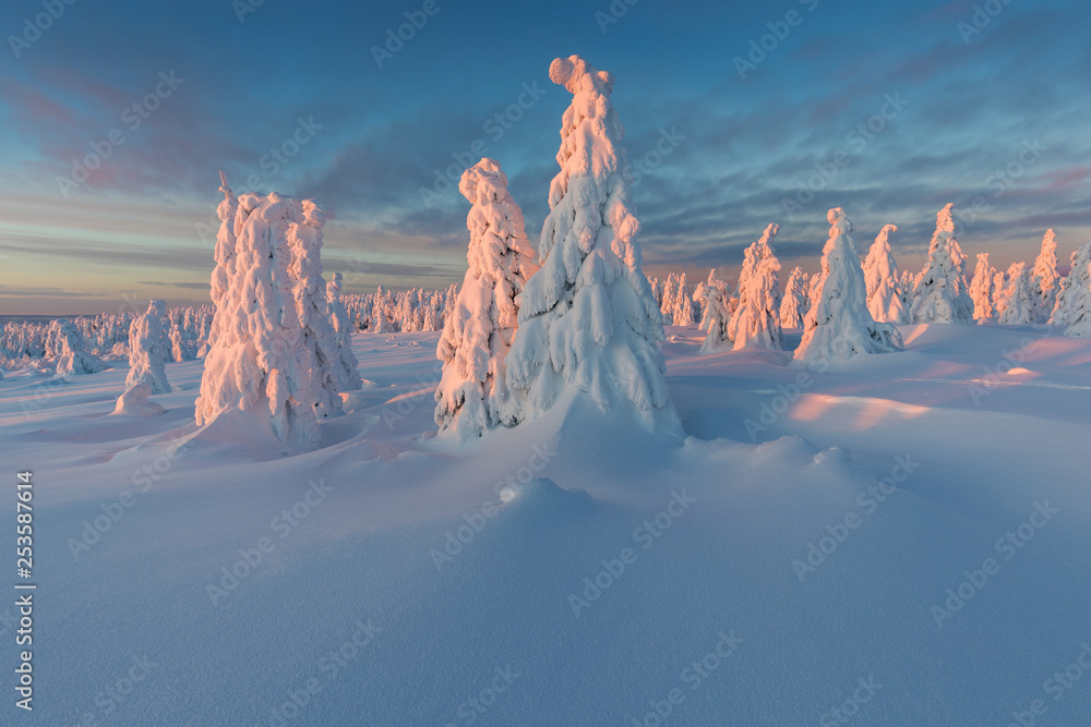 Panoramic view of beautiful winter wonderland scenery in scenic golden ...
