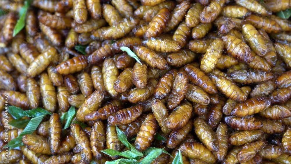 Fried silk worms delicious in street food in Thailand. They are deep fried until reaching a ...