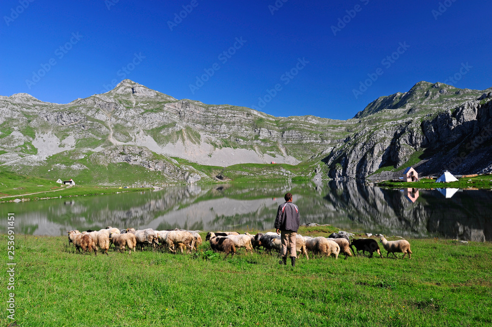 Schäfer am Kapetanovo jezero / Kapetanovo-See im Zurim-Gebirge ...