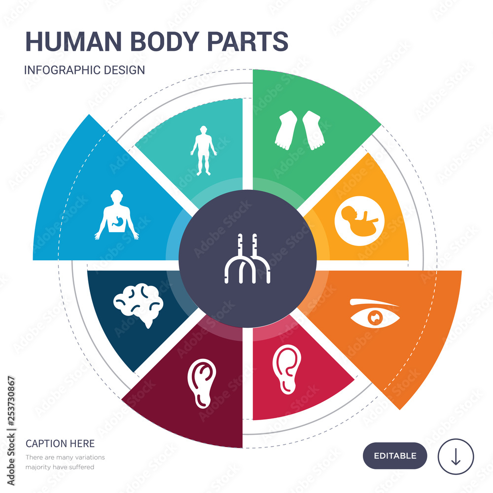 set of 9 simple human body parts vector icons. contains such as human ...