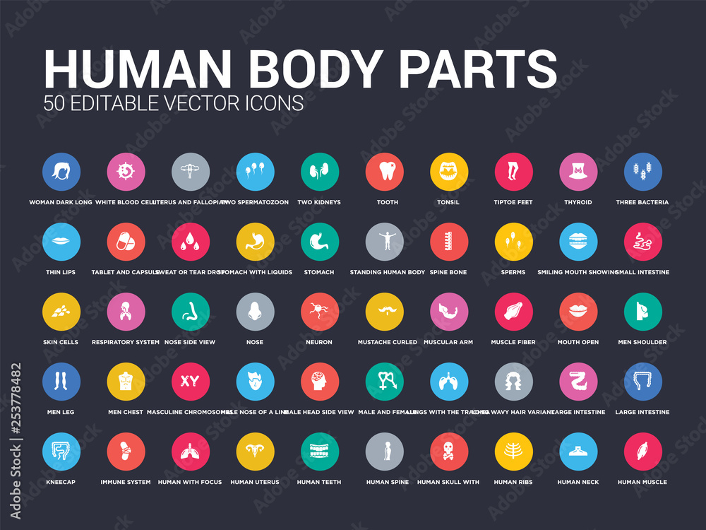 50 human body parts set icons such as human muscle, human neck, ribs ...