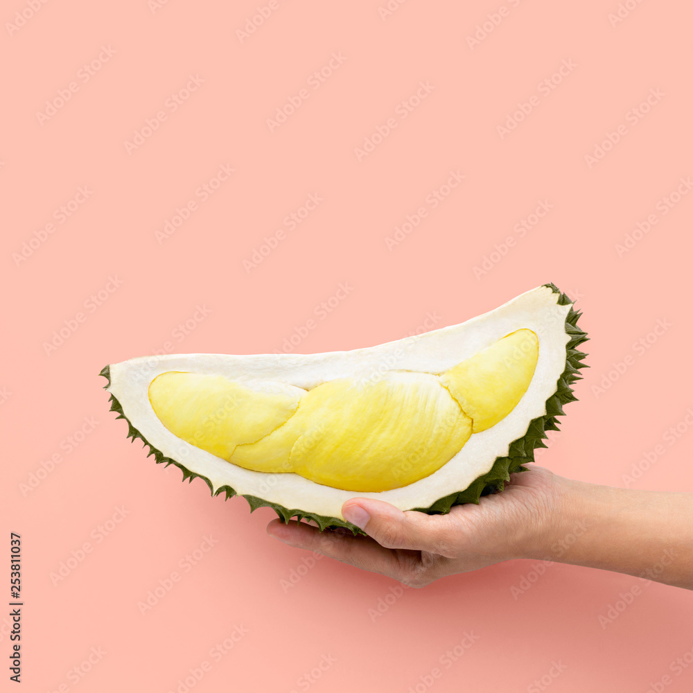 Hand holding fresh cut durian on a pastel pink background, king of ...